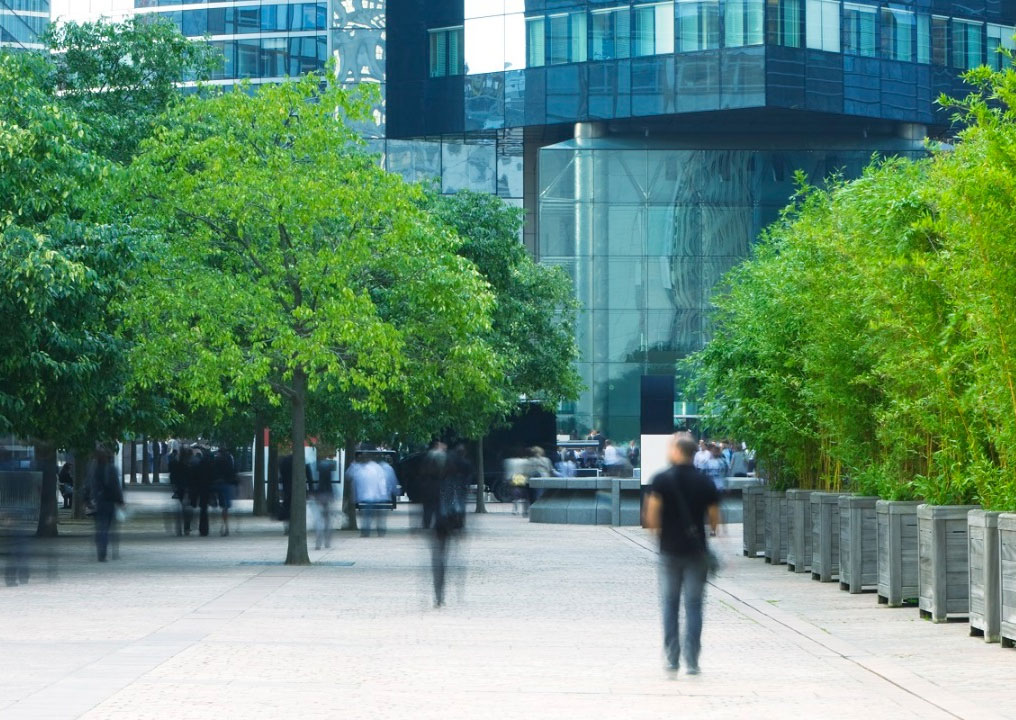 The Companies | Fresh Founders